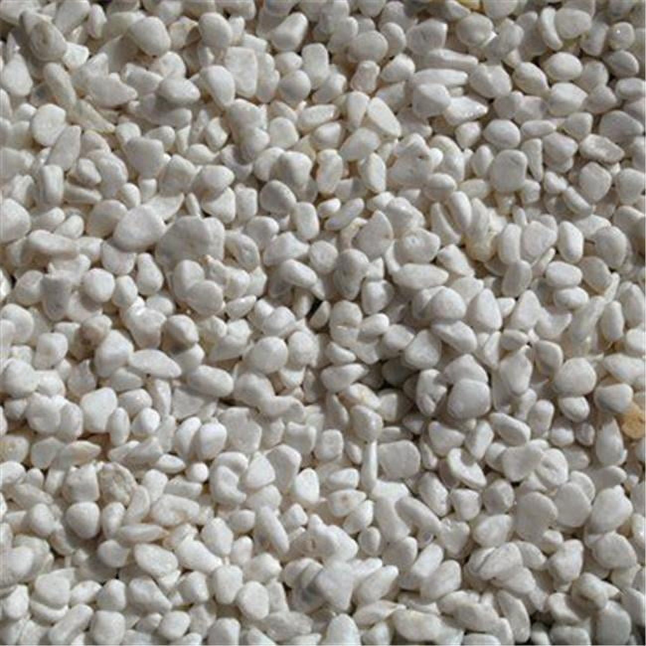 Exotic Pebbles & Aggregates 245410 20 lbs Exotic Bean Pebbles, White ...
