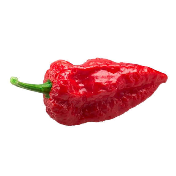 Exotic Pepper Seeds for Planting - (Ghost Peppers) - Walmart.com