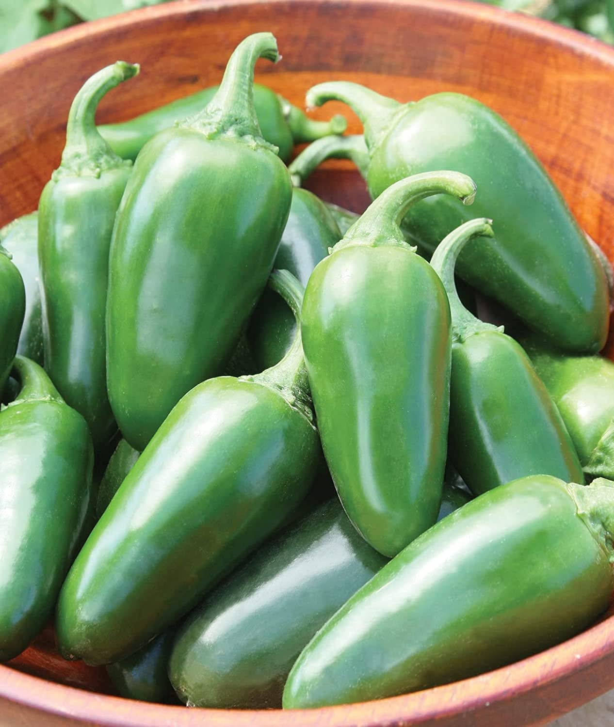 Exotic Pepper Seeds for Planting - (Jalapeno Pepper) - Walmart.com