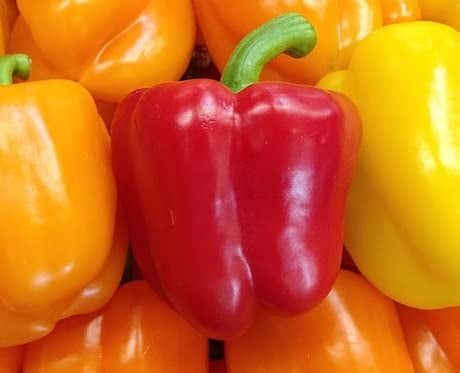 Exotic Pepper Seeds for Planting - (Ozark Giant Peppers) - Walmart.com