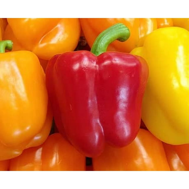 Exotic Pepper Seeds for Planting - (Ozark Giant Peppers) - Walmart.com