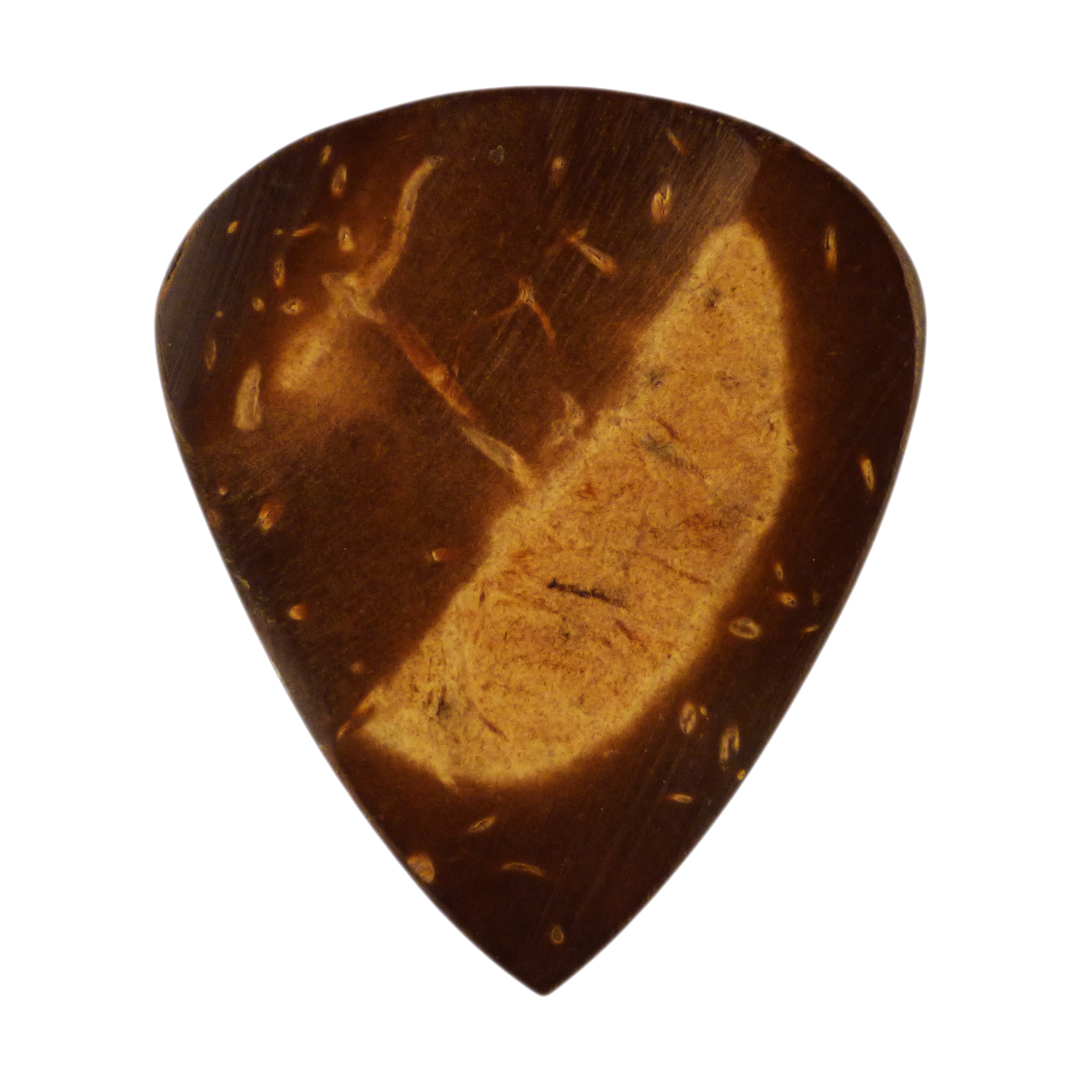 Exotic Plectrums - Coconut Palm Shell Guitar Or Bass Pick - 3.0 mm ...