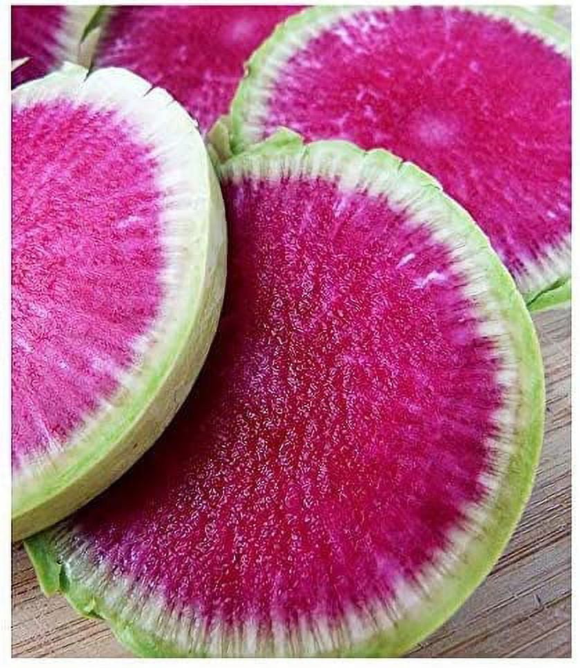 Exotic Radish Watermelon Seeds for Planting - 250+ Seeds - Rare Garden ...