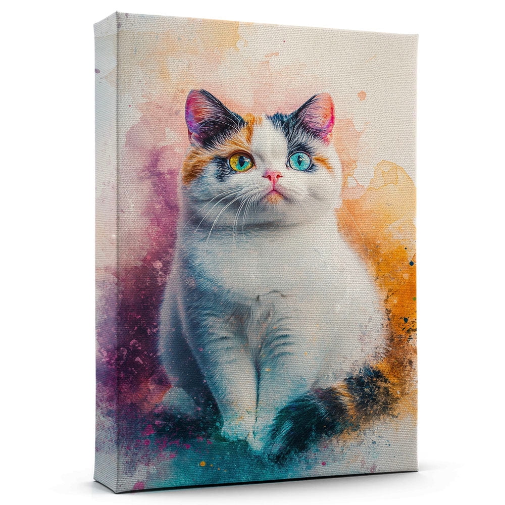 Exotic Shorthair Cat White Calico Pictures Wall Decor - Colorful Exotic ...