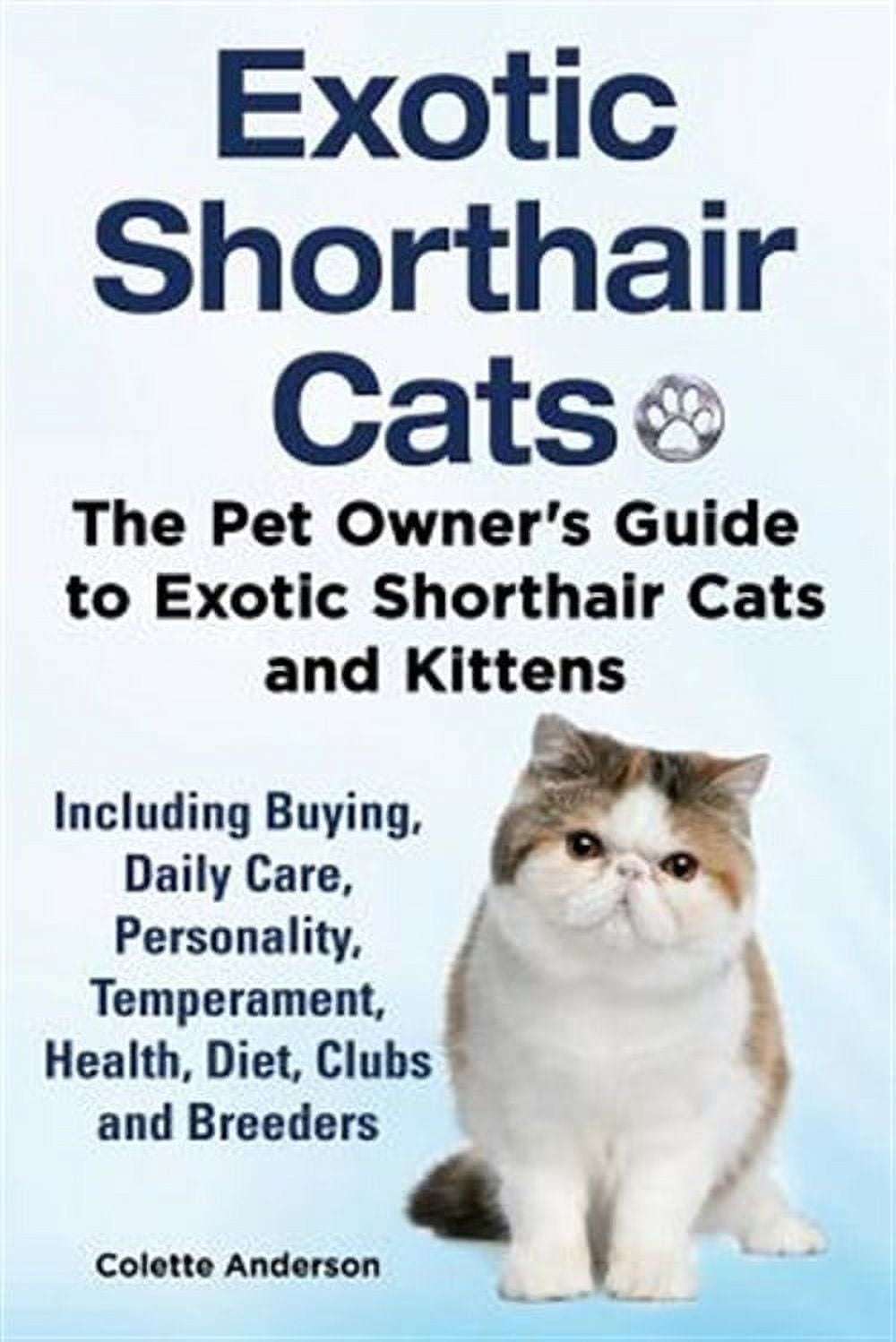 Exotic Shorthair Cats The Pet Owner?s Guide to Exotic Shorthair Cats ...