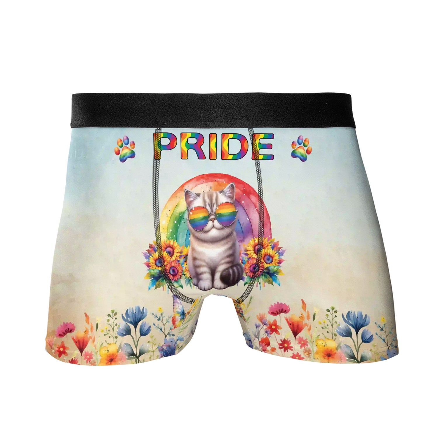 Exotic Shorthair Celebrates Rainbow Pride Month LGBT LGBTQ+ All Over ...