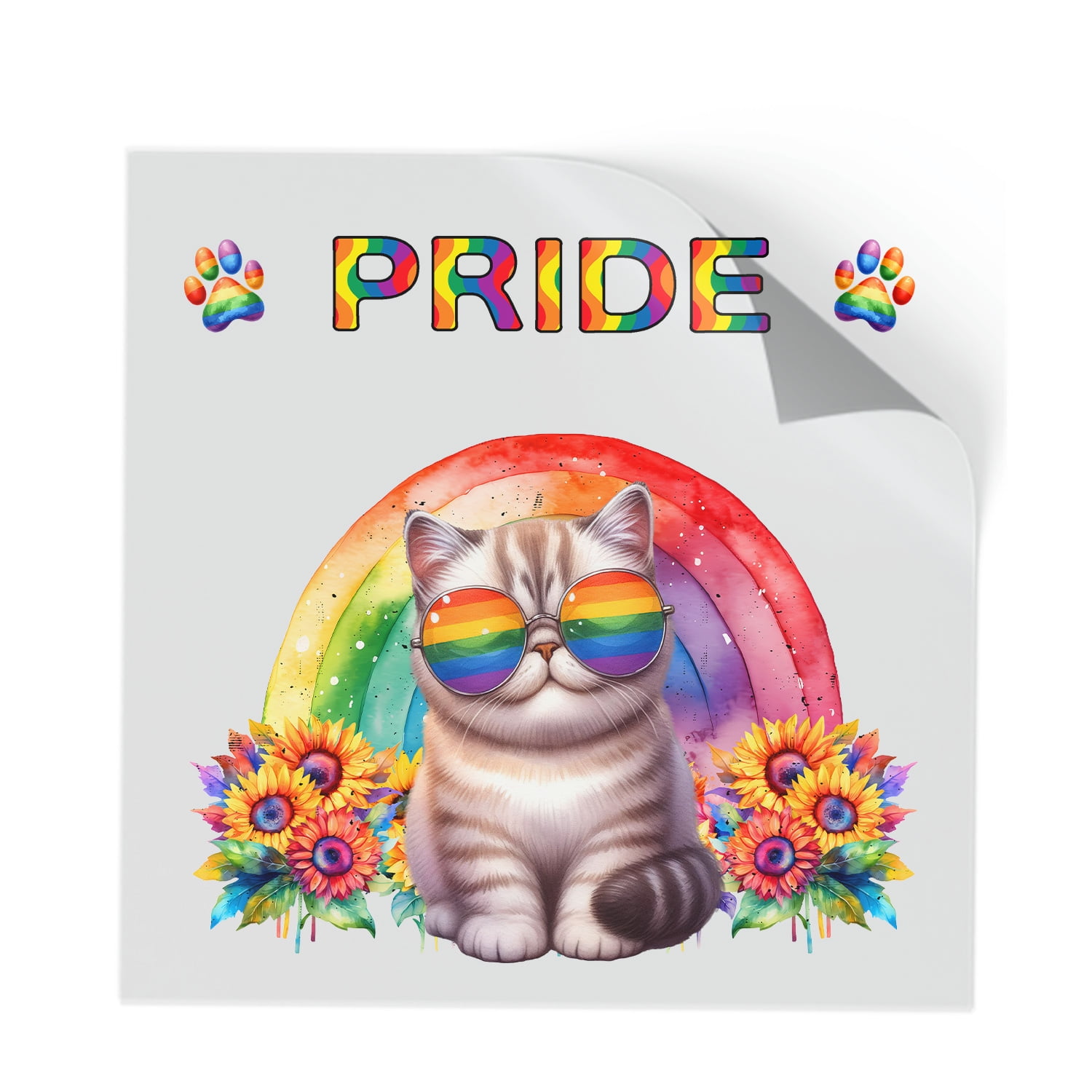 Exotic Shorthair Celebrates Rainbow Pride Month LGBT LGBTQ+ Cutout ...