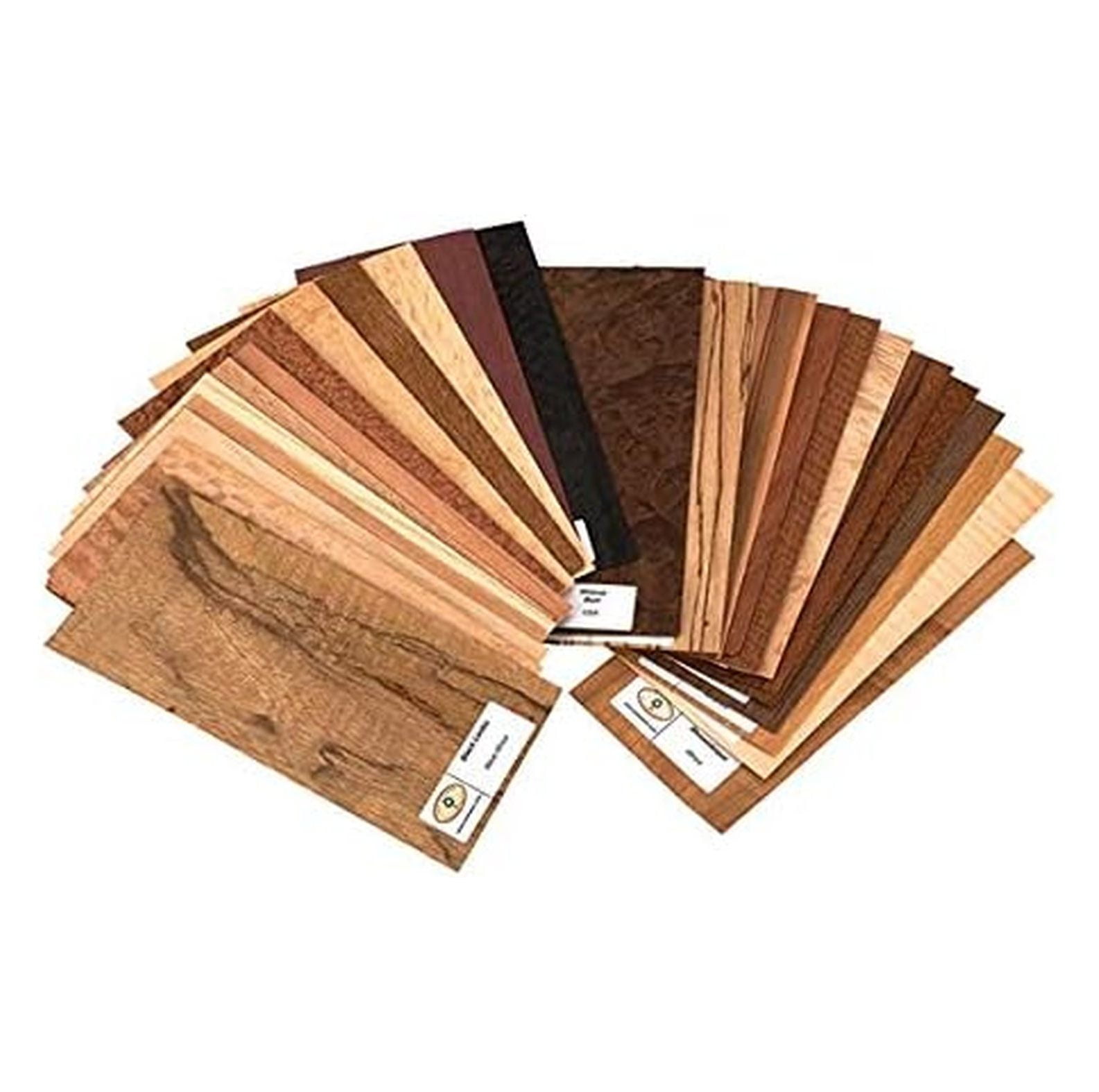 Exotic Species Wood Identification Kit & Wood Veneer Sample Pack - 4" x ...