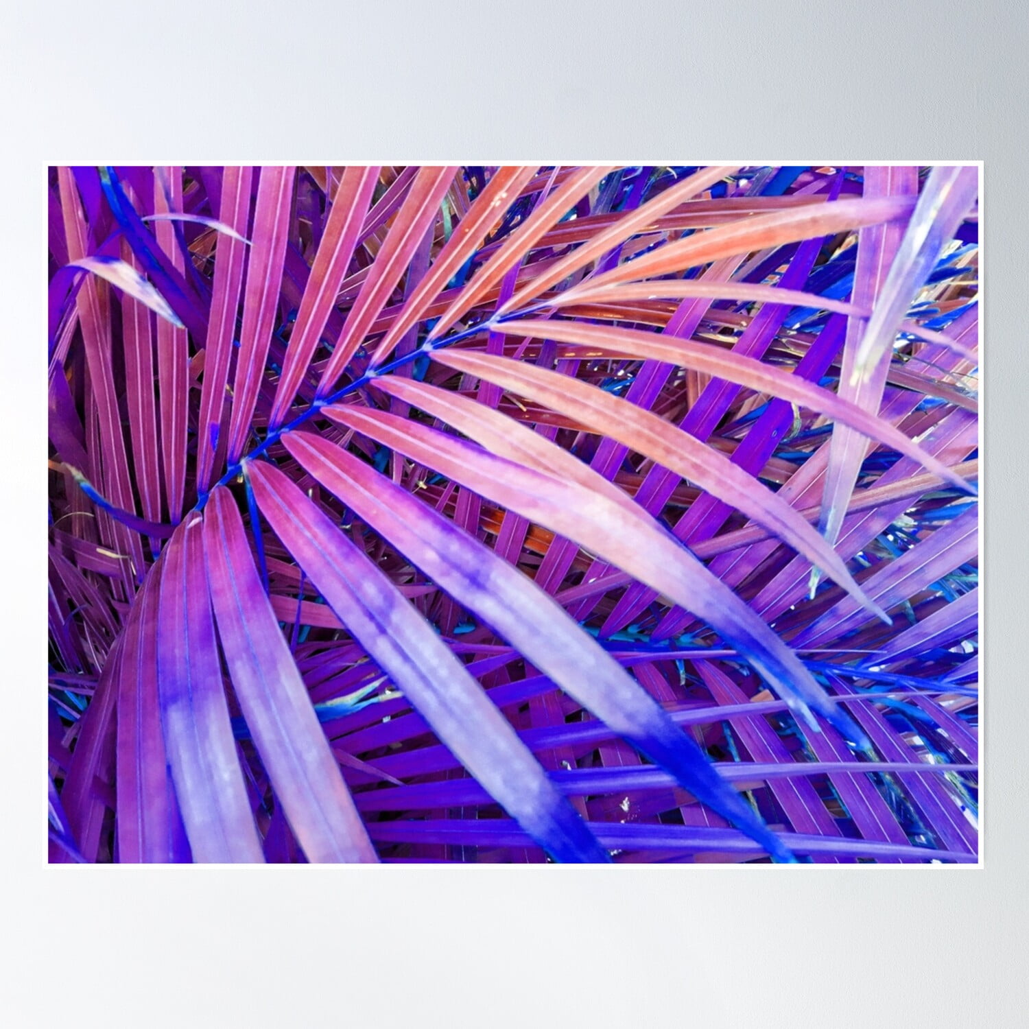 Exotic Tropical Palm Leaves Tropicalcore Tropical Vacation Aesthetic 2 ...