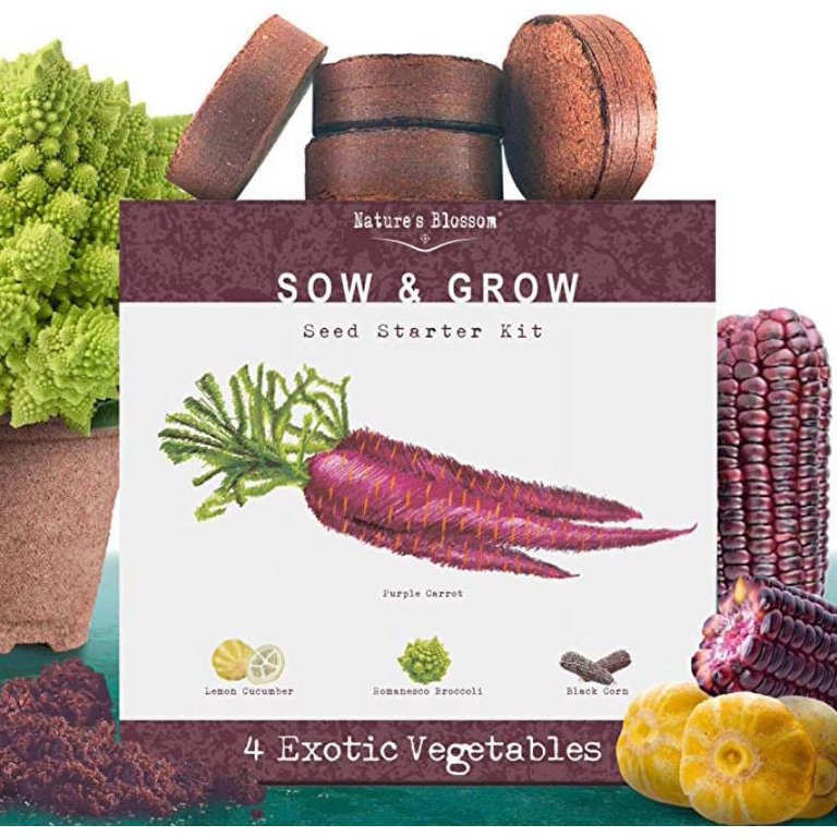 Exotic Vegetables List