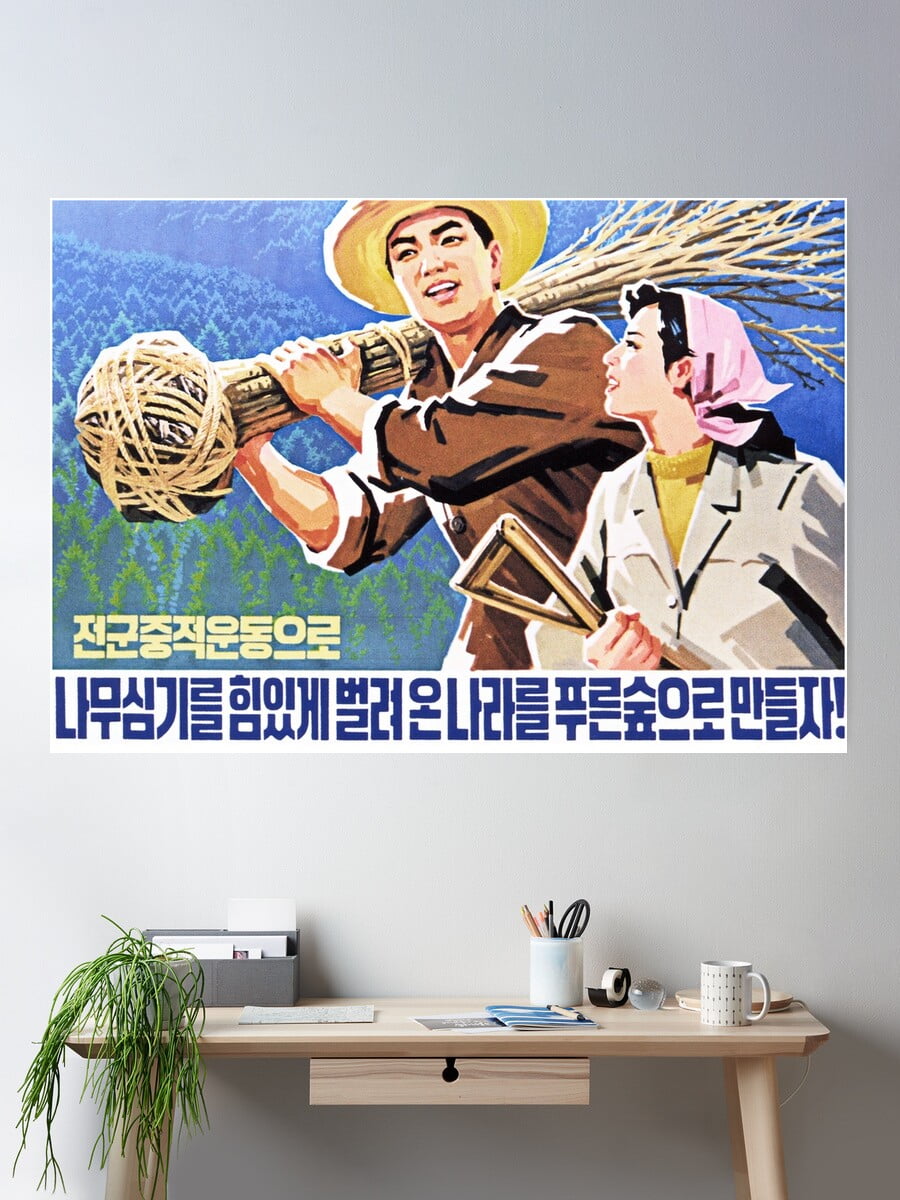 Expand Tree Planting And Turn The Country Into A Green Forest! North ...