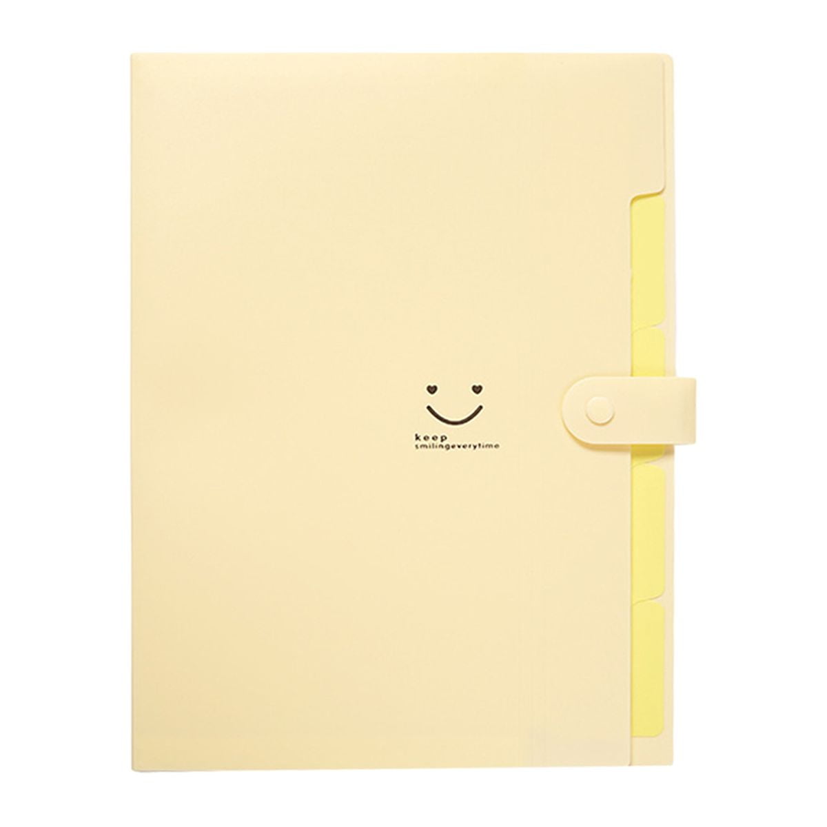 Expandable A4/Letter Folder with Labels for Portable Document Storage 5 ...
