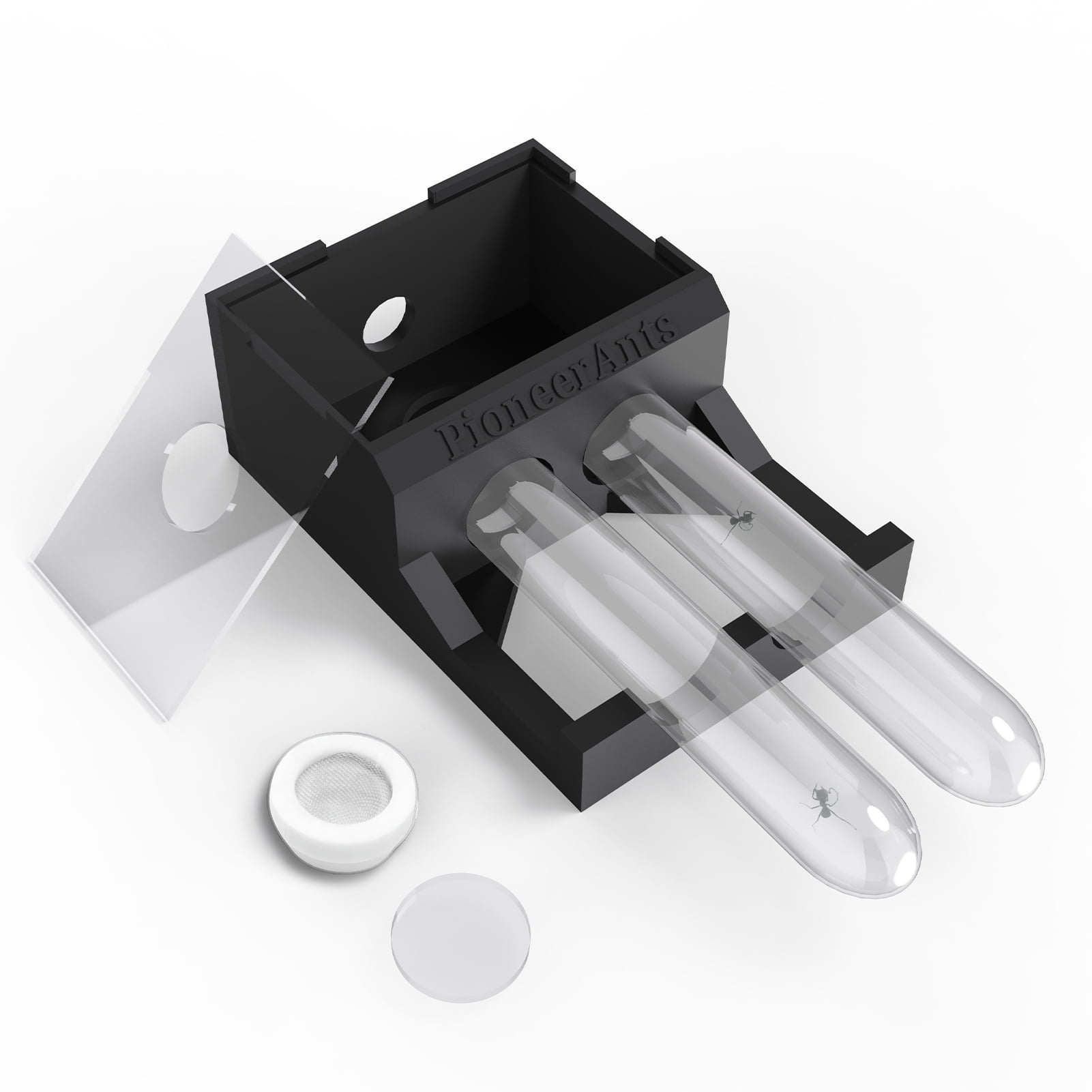 Expandable Ant Farm with Live Queen Ant Compatibility - Walmart.com