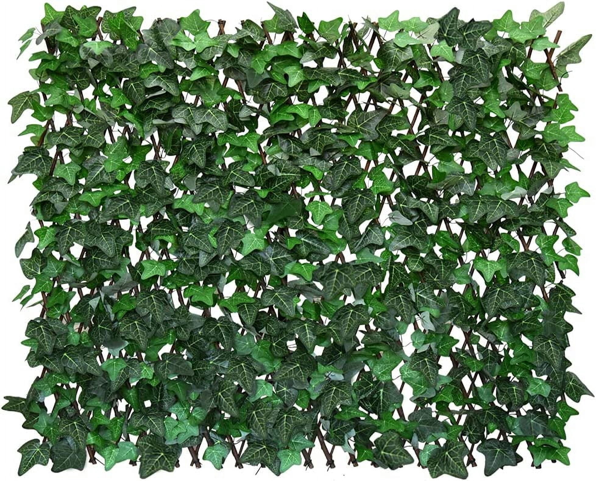 Expandable Fence Privacy Screen for Balcony Patio Outdoor,Decorative ...