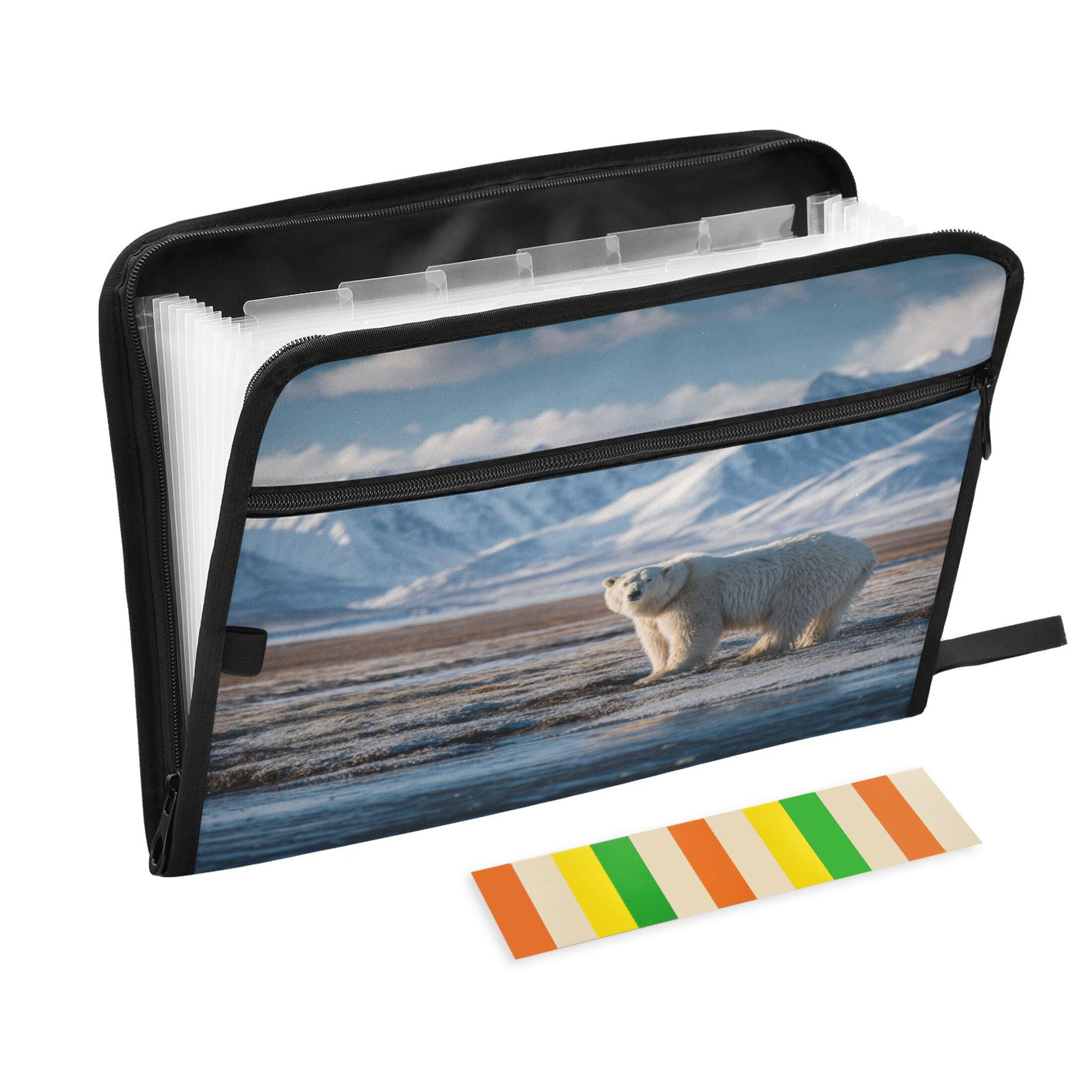 Expandable Folder with Colored Tabs, Desktop Folding Folder for ...