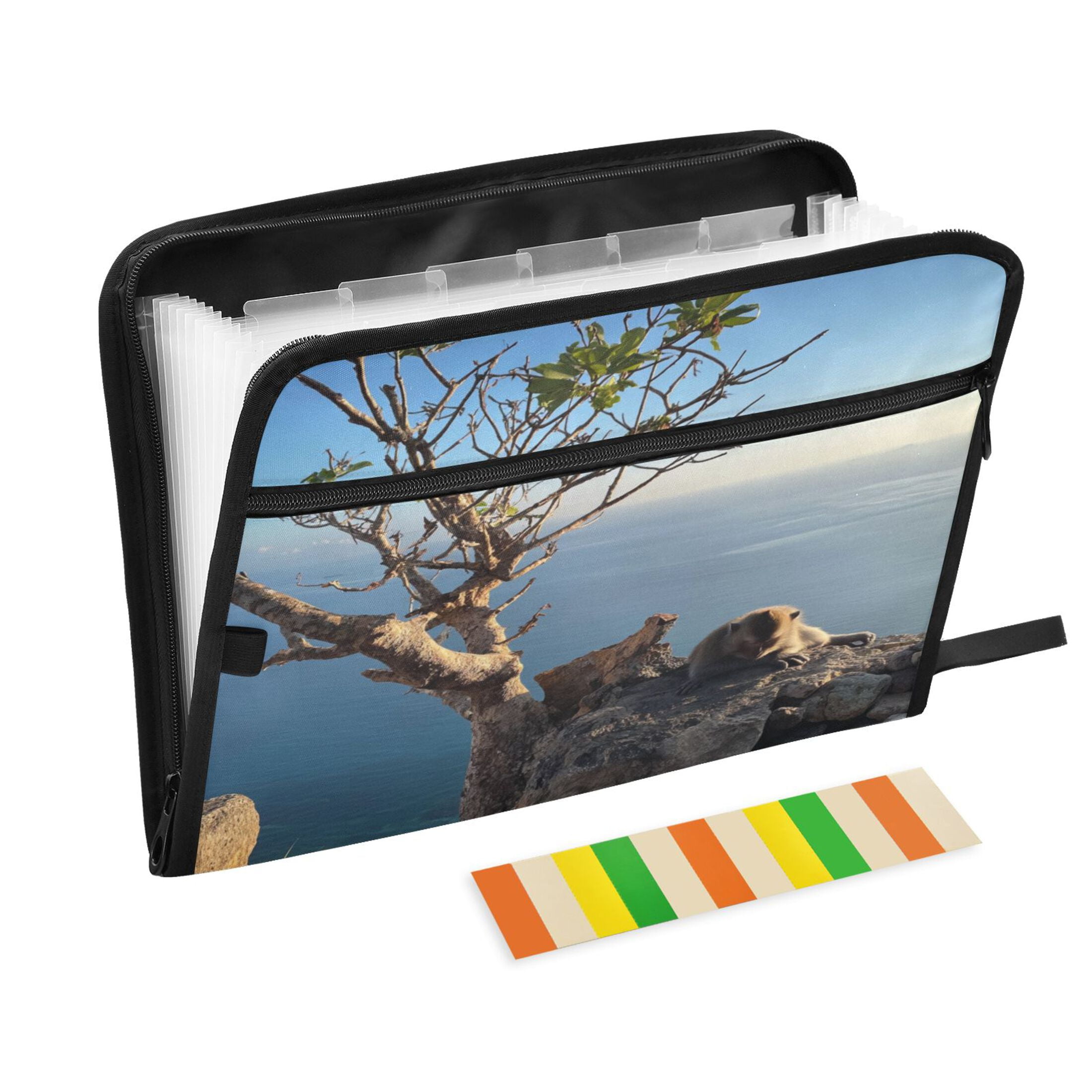 Expandable Folder with Colored Tabs, Desktop Folding Folder for ...