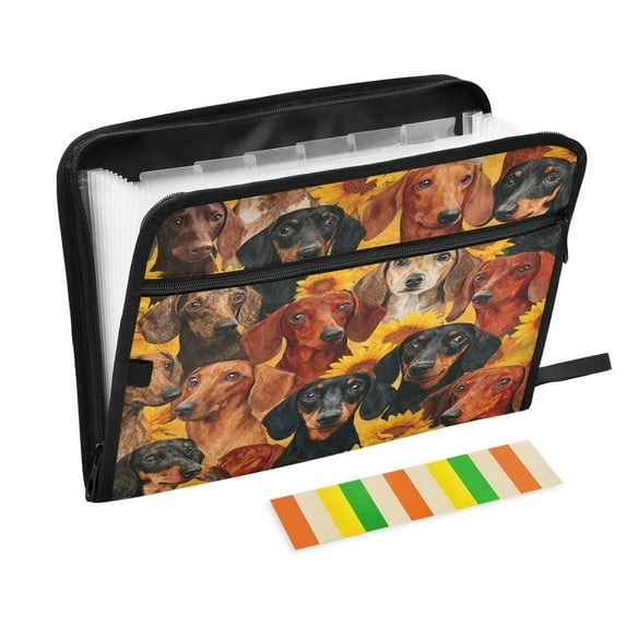 Expandable Folder with Colored Tabs, Desktop Folding Folder for ...