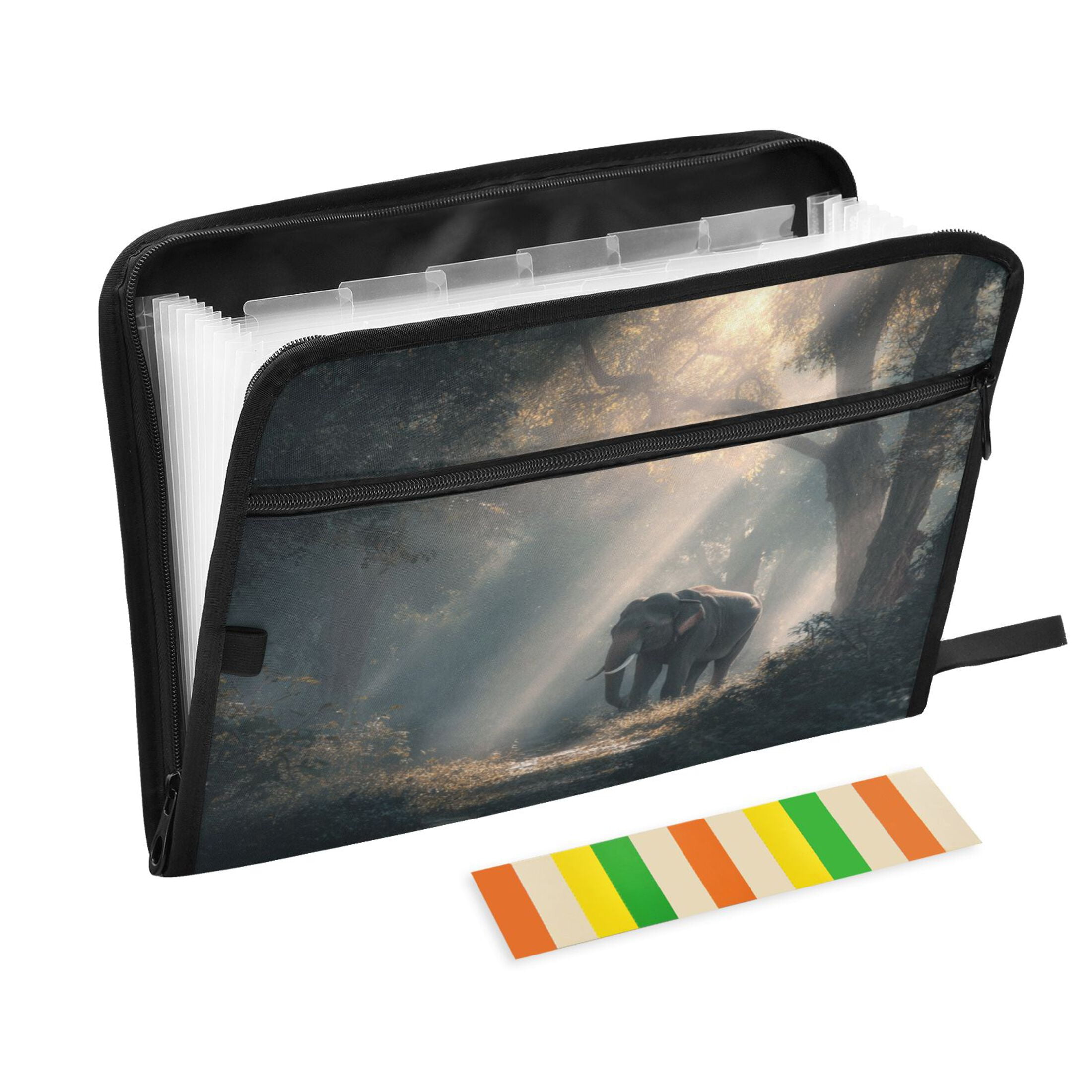 Expandable Folder with Colored Tabs, Desktop Folding Folder for ...