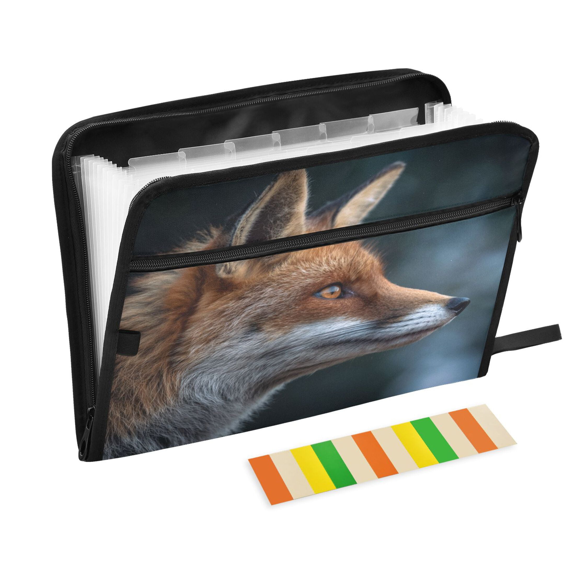 Expandable Folder with Colored Tabs, Desktop Folding Folder for ...