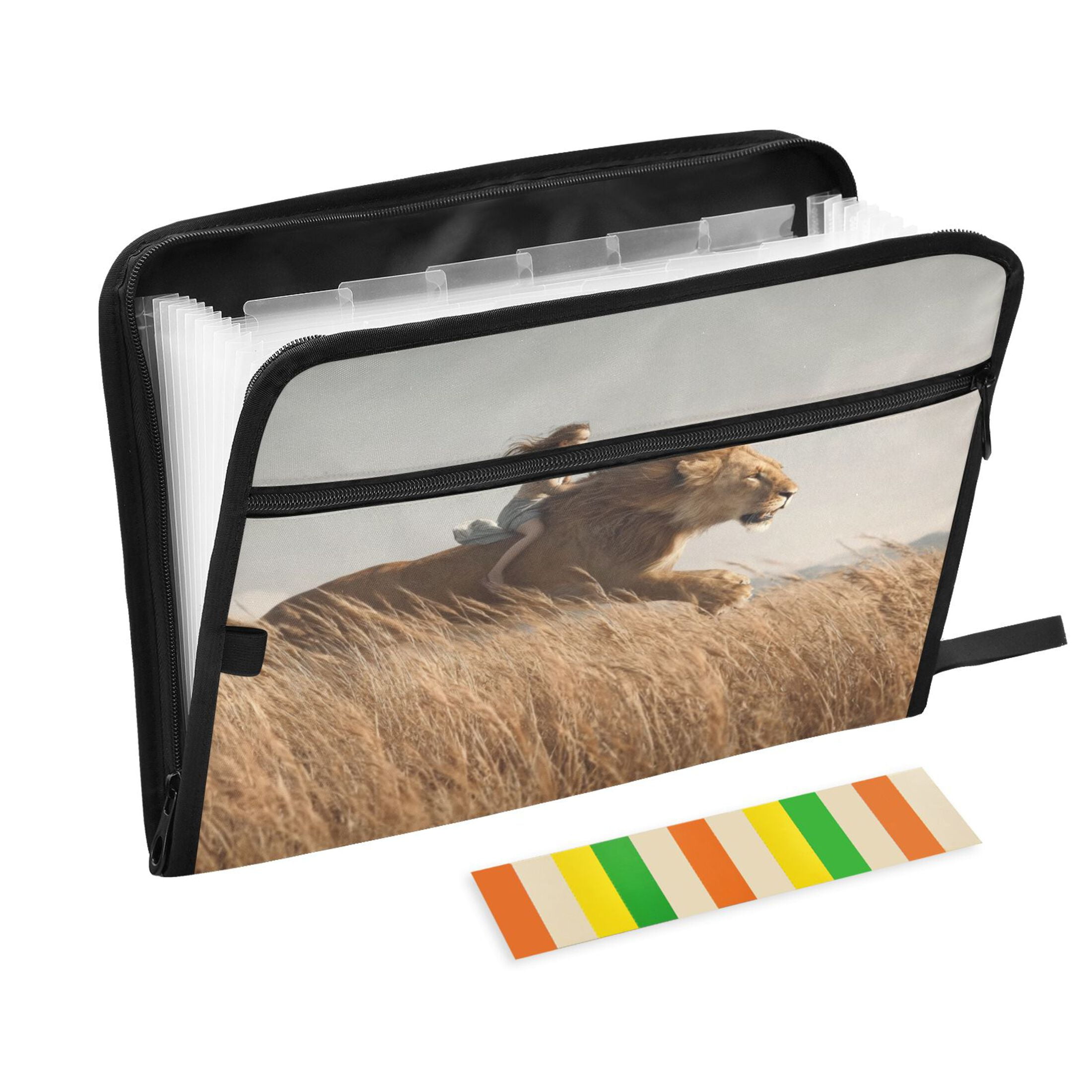Expandable Folder with Colored Tabs, Desktop Folding Folder for ...