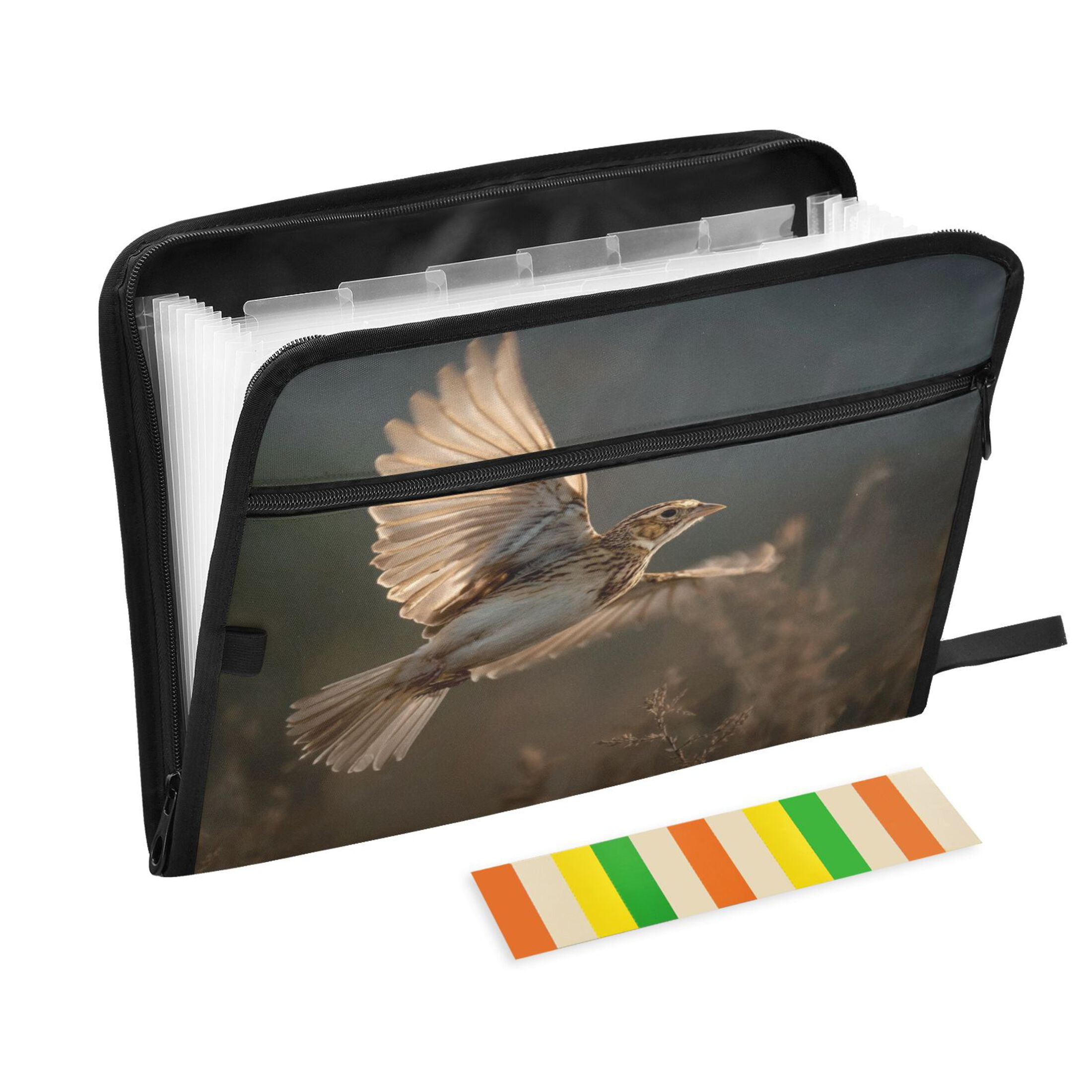 Expandable Folder with Colored Tabs, Desktop Folding Folder for ...