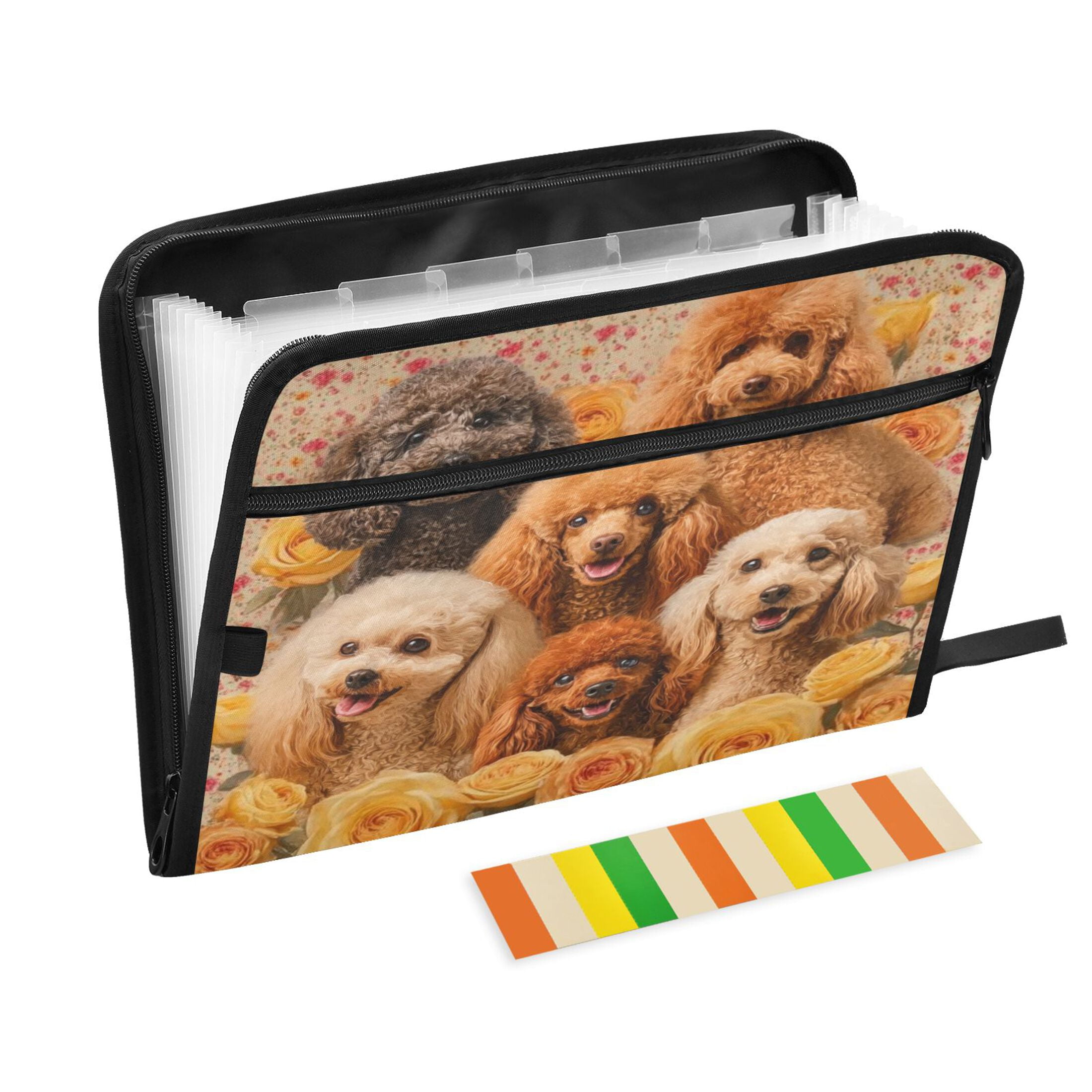 Expandable Folder with Colored Tabs, Desktop Folding Folder for ...