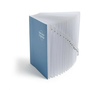 Alphabetical File Organizer