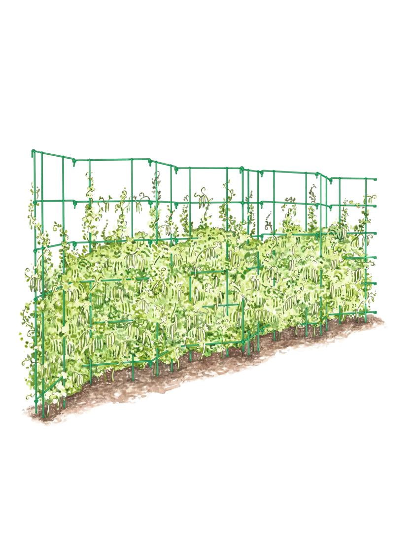 Expandable Pea Trellis - Walmart.com