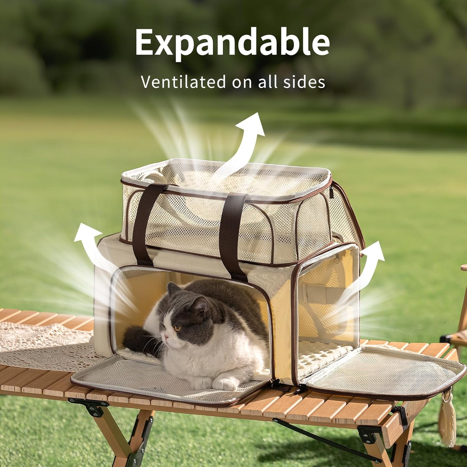 Expandable Pet Carrier for Cats & Dogs, Airline Approved Cat Carrier ...