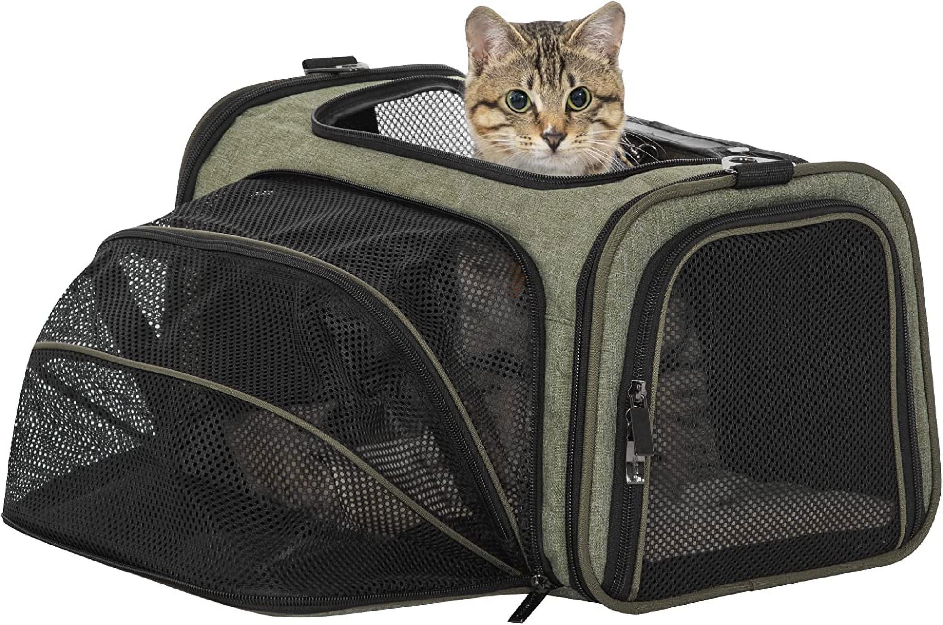Expandable Rabbit Carrier Small Cat Carrier Airline Approved, 16X10X9 ...