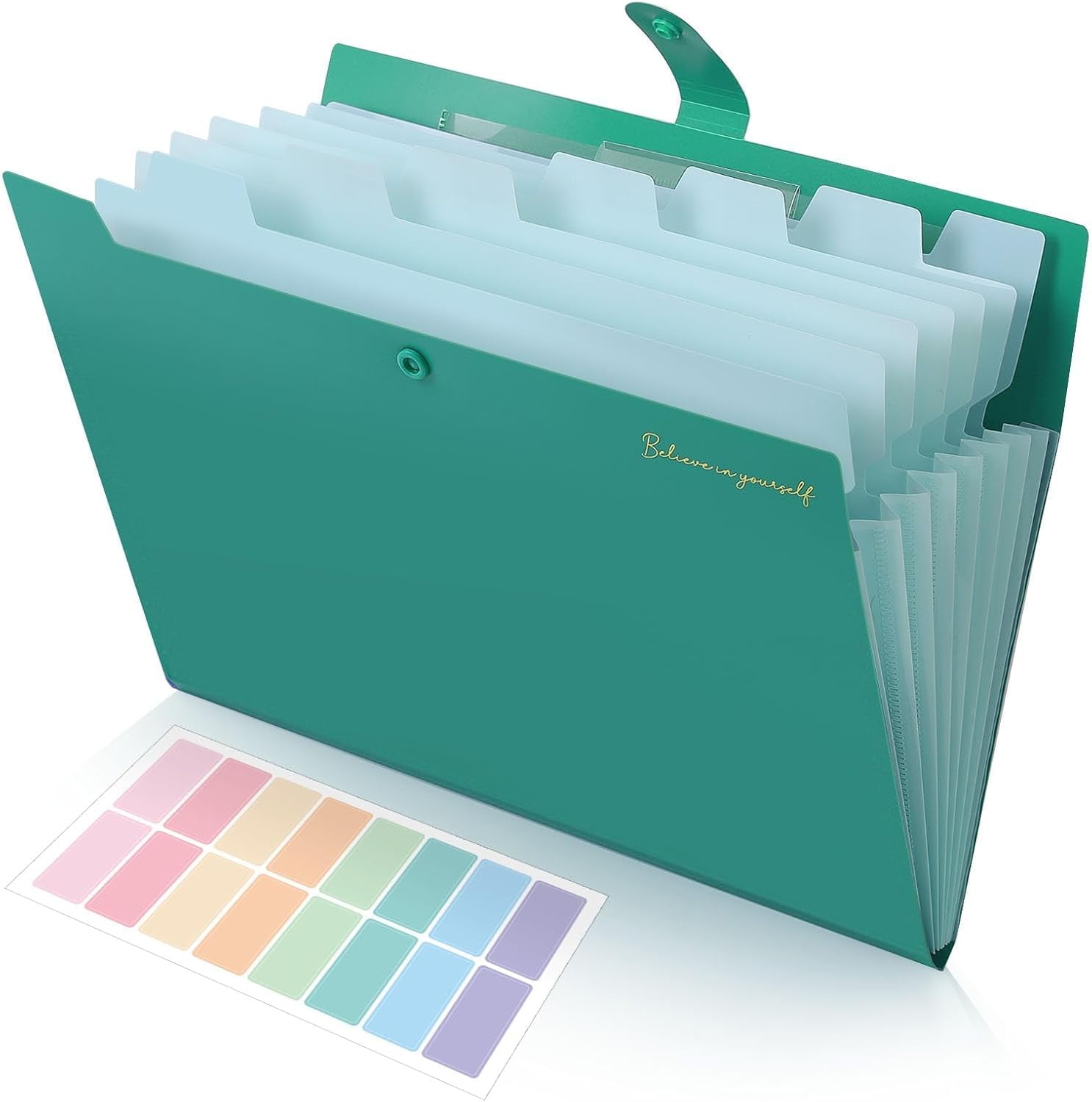 Expanding File Folder, Accordion File Organizer with 8 Pocket & Inner ...