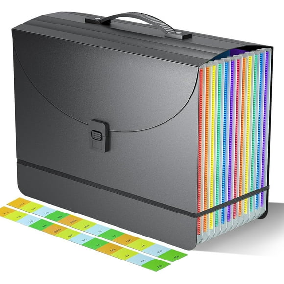 Alphabetical File Organizer