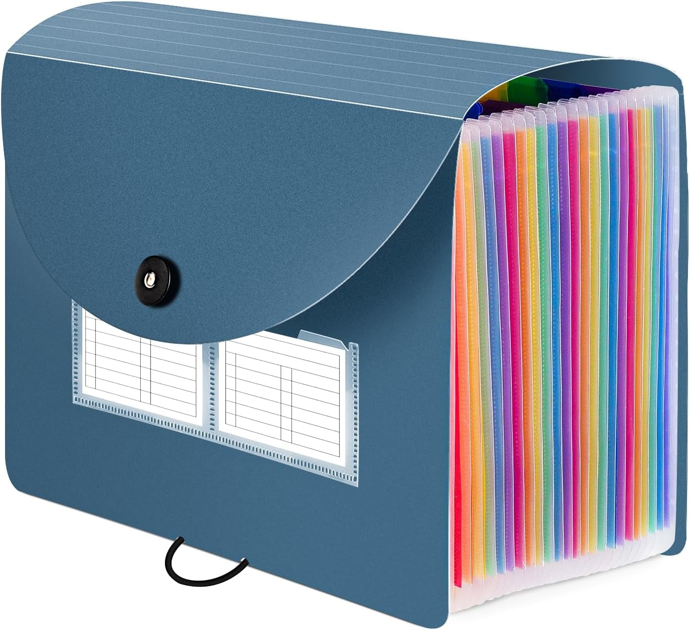 Expanding File Folder with Blank Labels, According File Organizer with ...