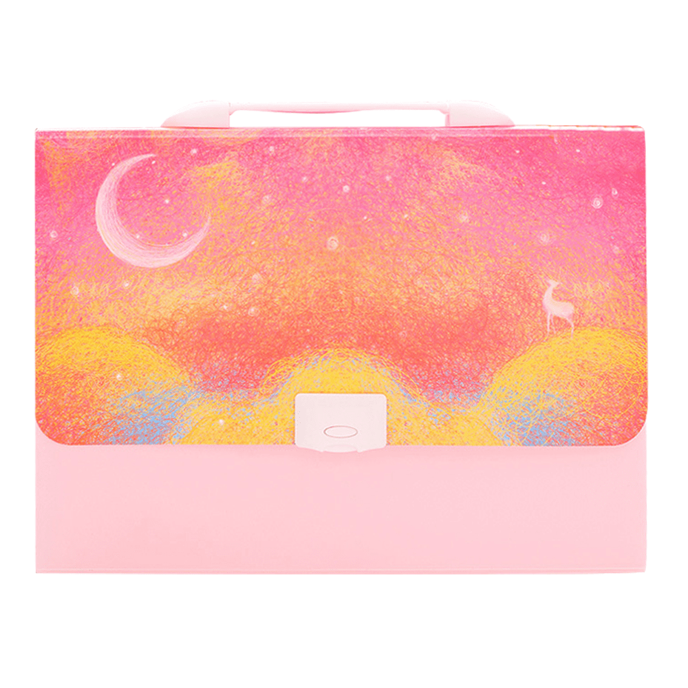 Expanding File Folder - Pockets File Organizer with Handle and Buckle ...