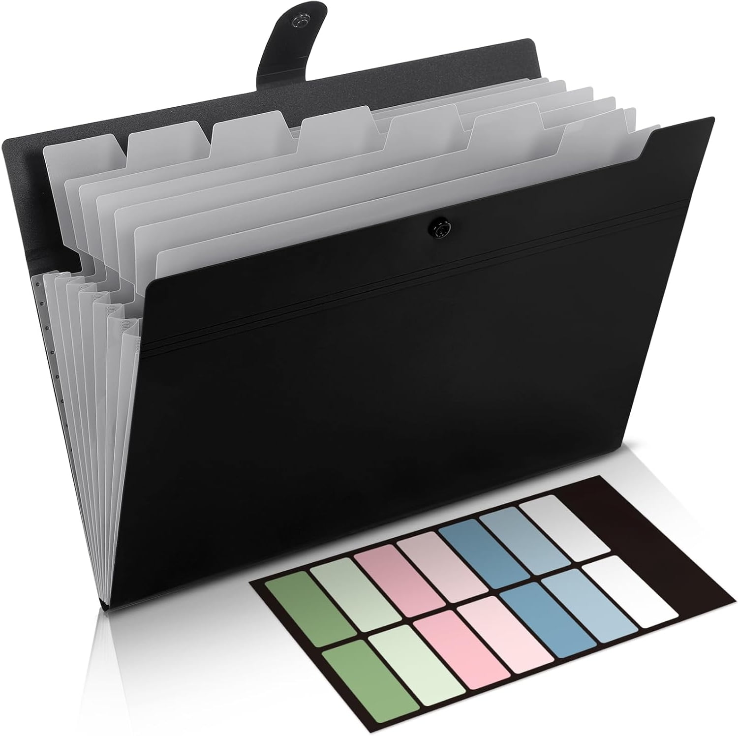 Expanding File Organizer with Pockets, Accordion File Folders with ...