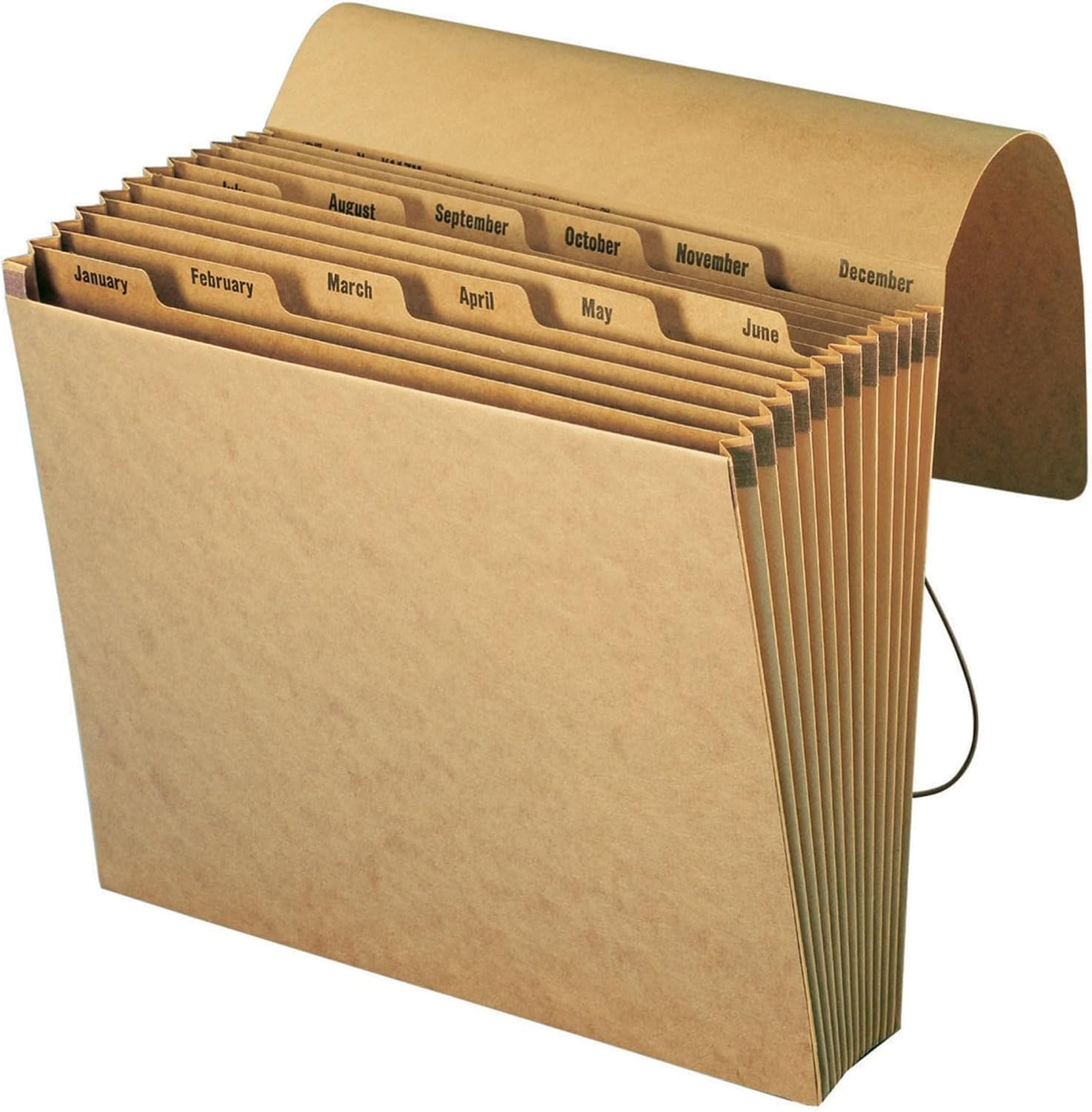 Expanding File with Flap and Cord Closure, 12 Pockets, Monthly (Jan-Dec ...