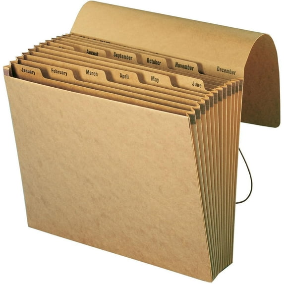 Expanding File with Flap and Cord Closure, 12 Pockets, Monthly (Jan-Dec ...