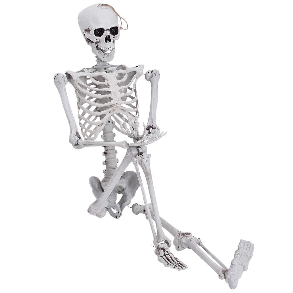 Experience Bone-Chilling Chills with SCNOR 65-Inch Halloween Skeleton ...