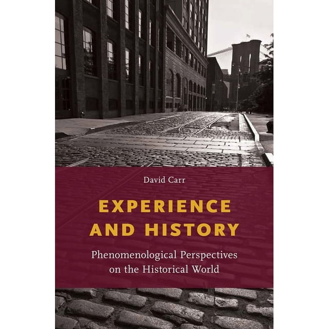 Experience and History: Phenomenological Perspectives on the Historical ...