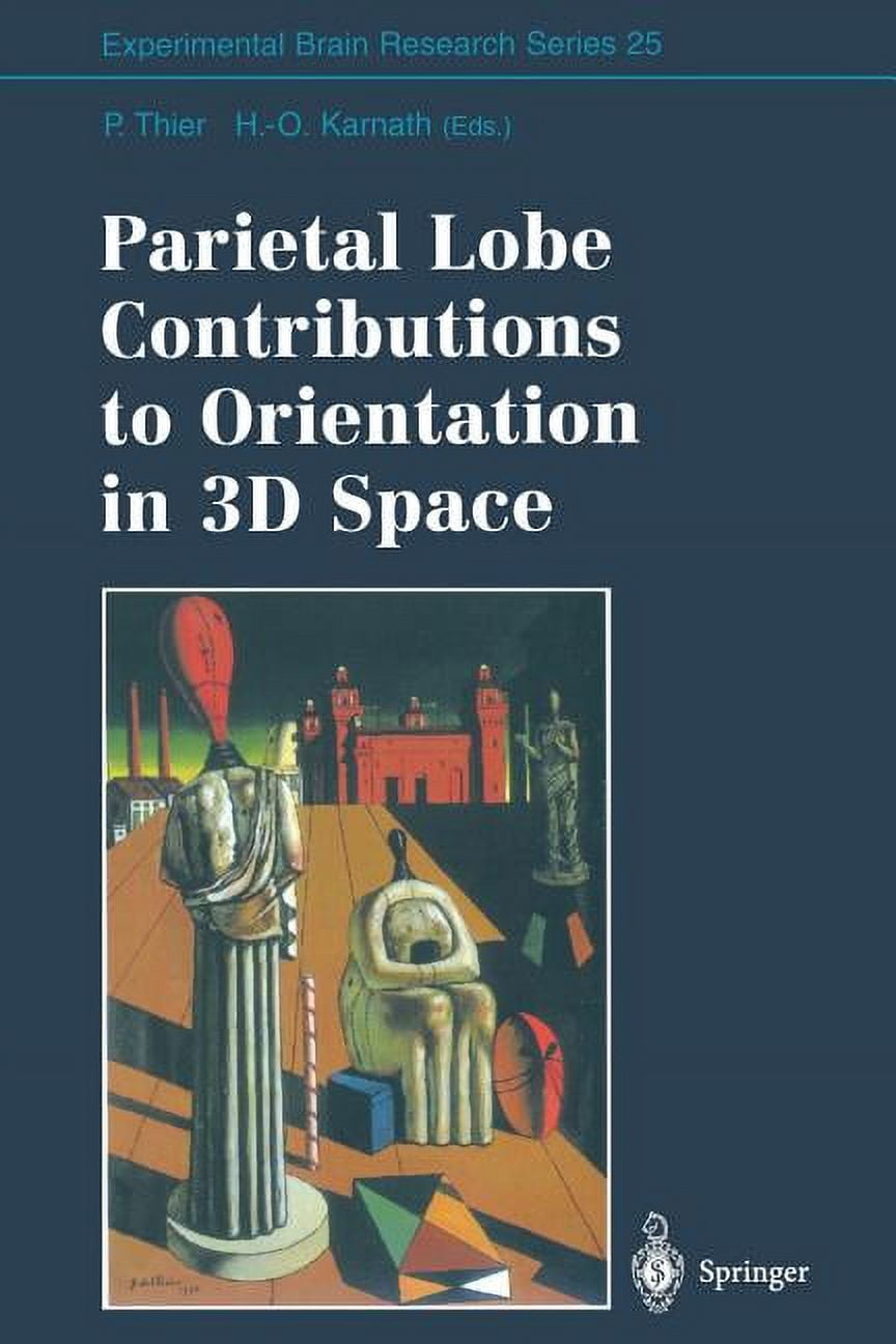 Experimental Brain Research Parietal Lobe Contributions To Orientation