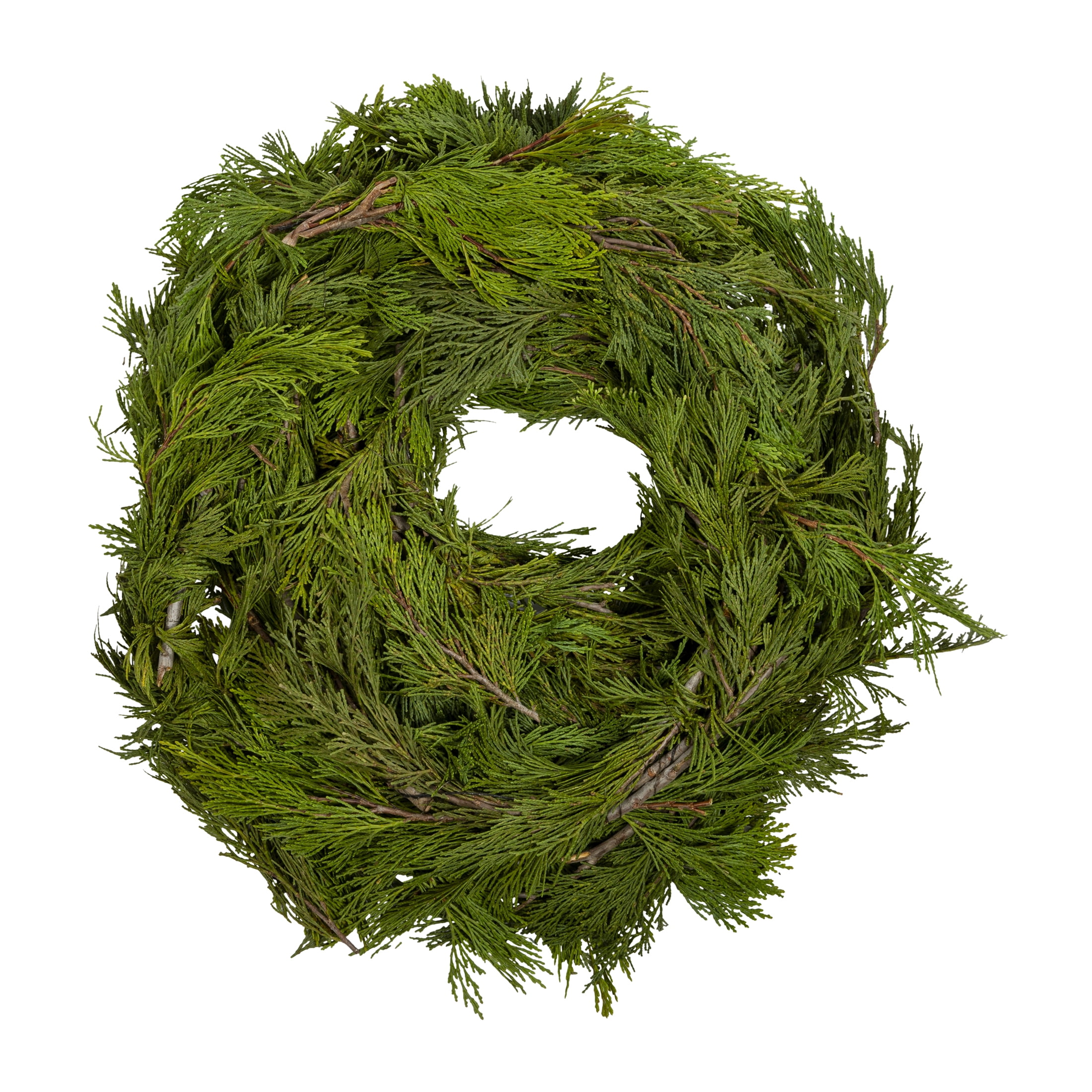 Expert Gardener 25 Foot Cedar Garland Fresh Cut Holiday Greens Live ...