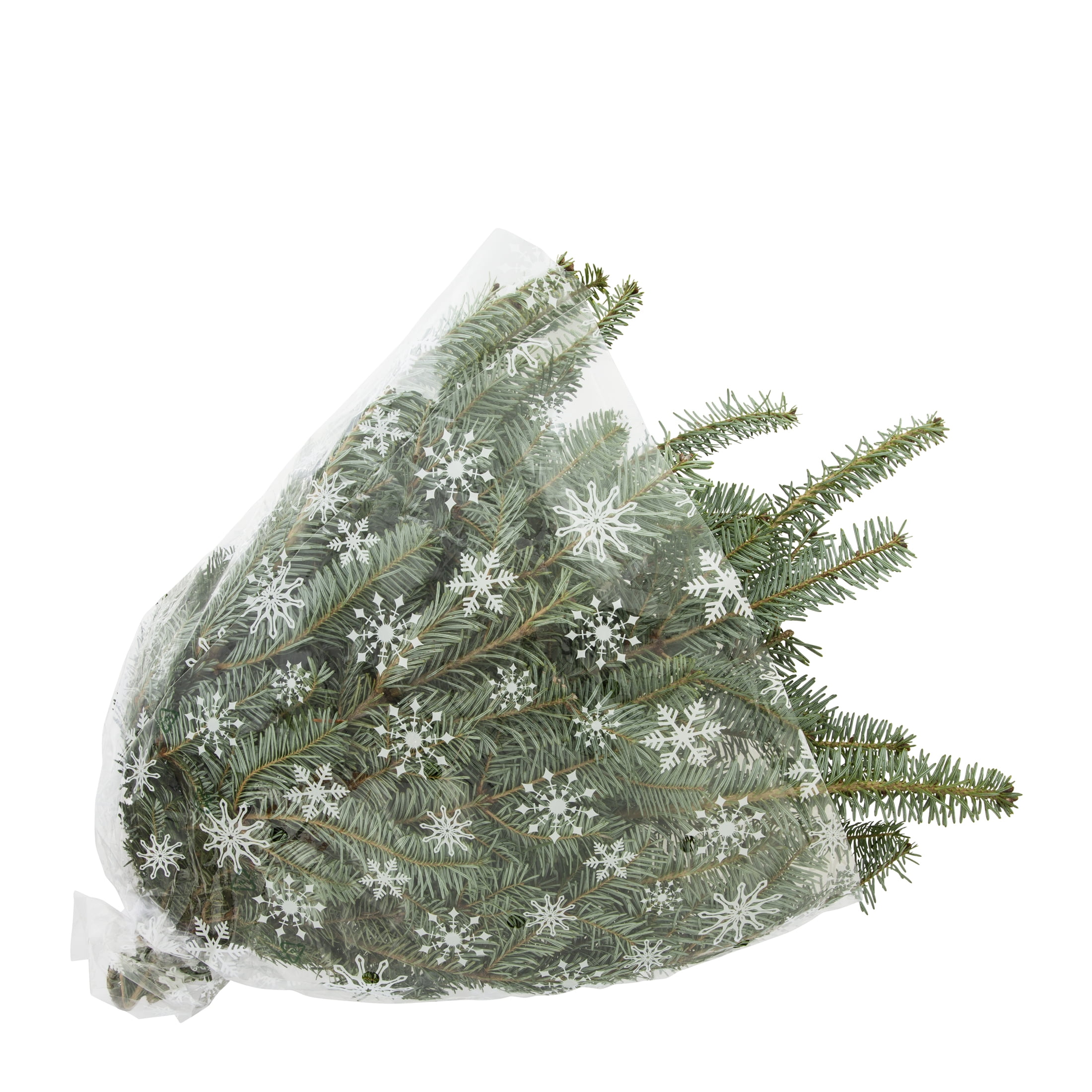Expert Gardener 6 Inch Bough Bundle Bouqet Fresh Cut Frasier Fir ...