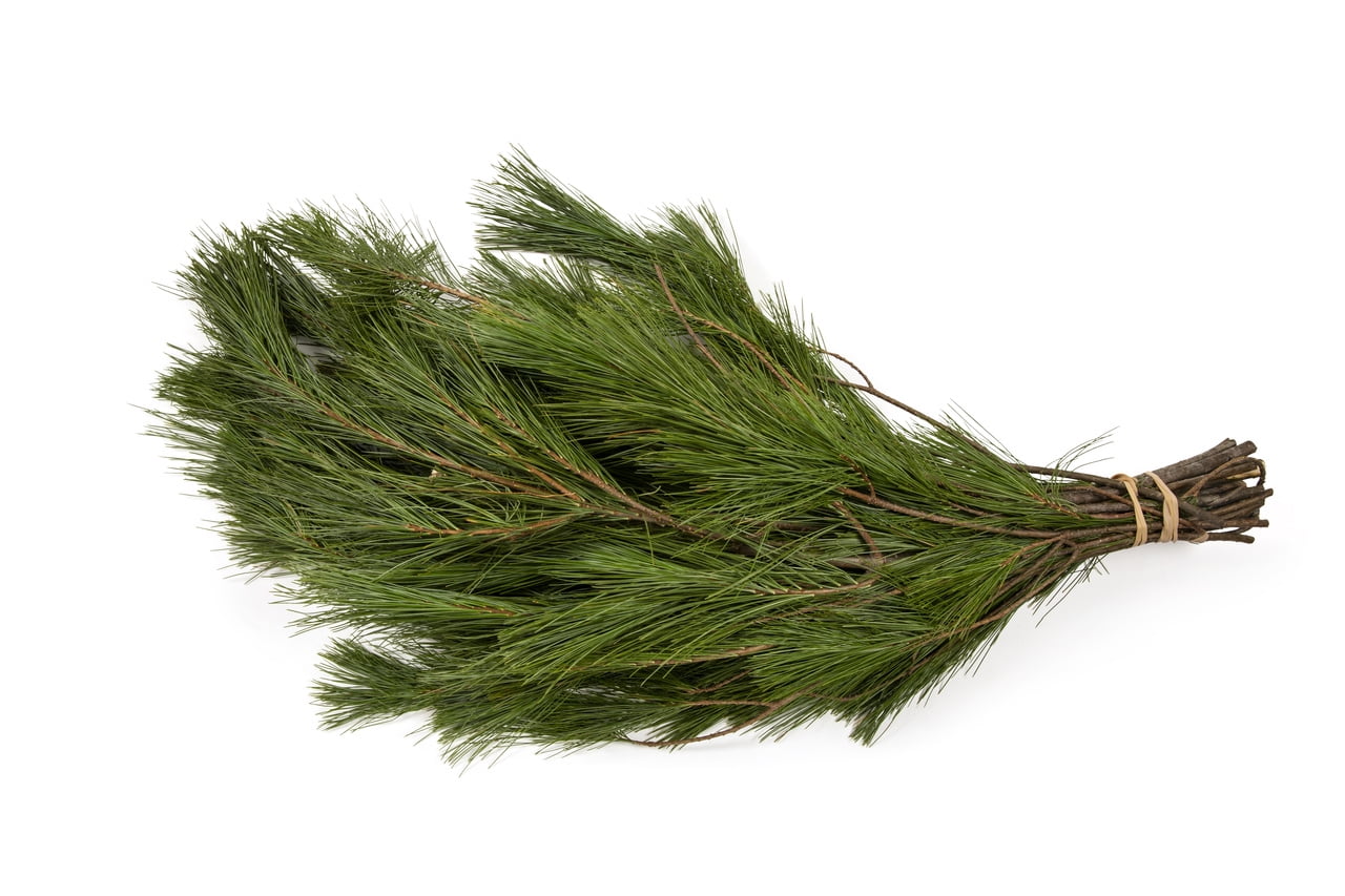 Expert Gardener 6 Inch Bough Bundle Bouqet Fresh Cut Pine Holiday ...