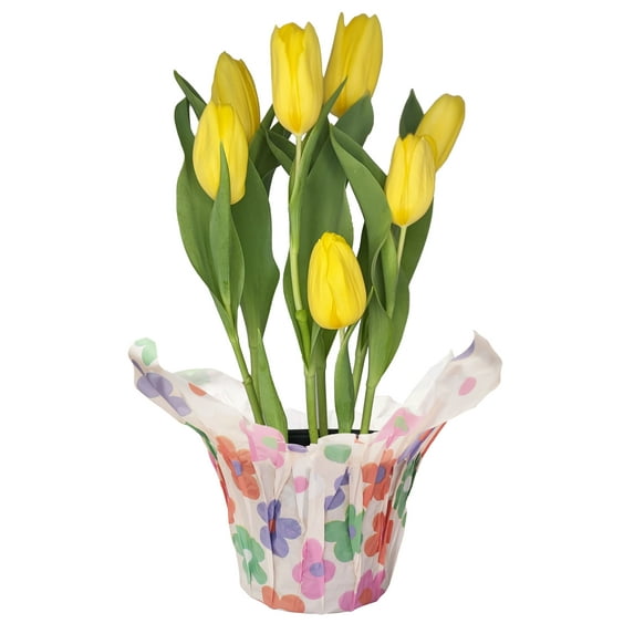Expert Gardener 6 inch Tulip Yellow, Live, Indoor Plant with Pot Cover ...