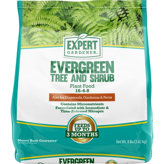 Evergreen Tree Food