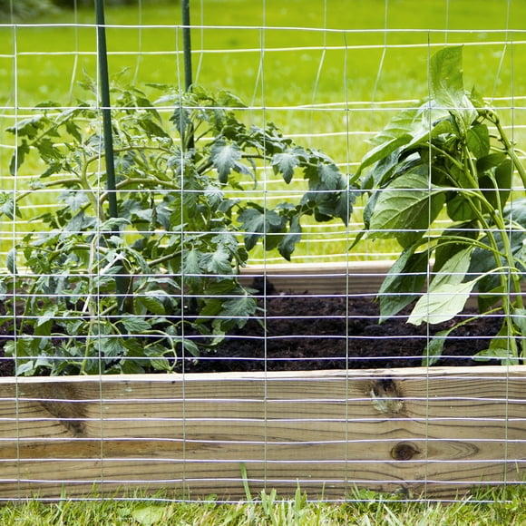 Rabbit Fencing Garden