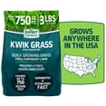 Expert Gardener Kwik Grass Seed Mix for Sun to Partial Shade, 3 lb ...