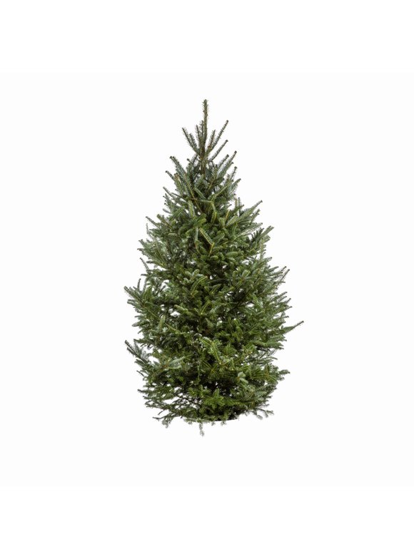 Shop Real Christmas Trees - Walmart.com