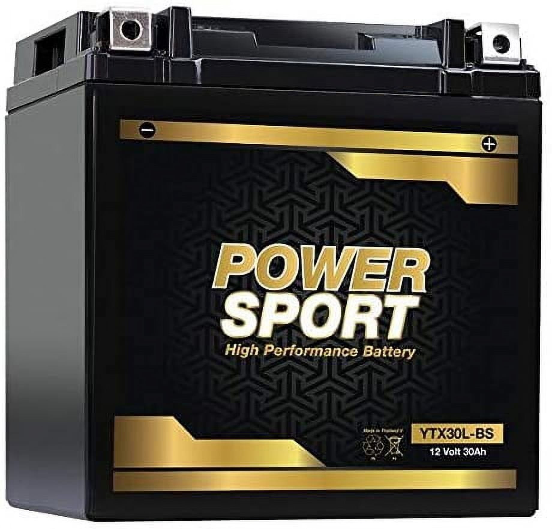ExpertPower YTX30L-BS Motorcycle Battery - Replaces Yuasa YIX30L ...