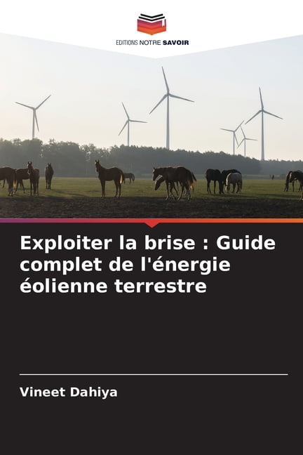 Exploiter la brise: Guide complet de l'énergie éolienne terrestre, (Paperback) - Walmart.com